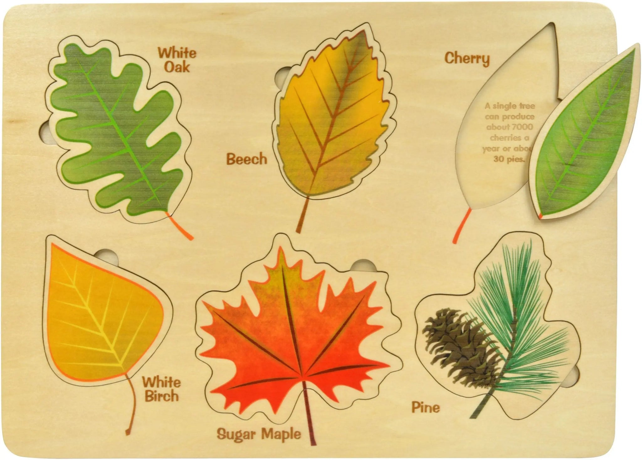 Lift & Learn Leaves Puzzle | Sustainable Toy | Made in the USA – The ...
